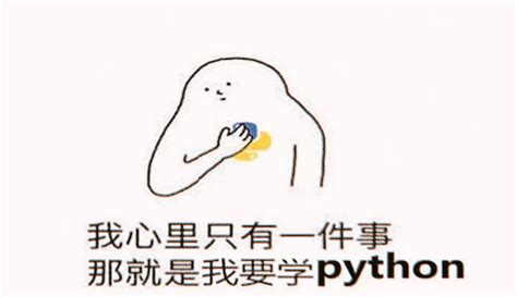 Python Python