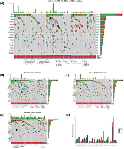 Mutational Landscape In Lung Cancer Without Egfr Or Alk Mutations A