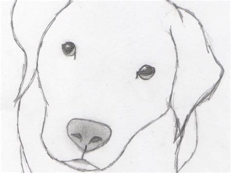 Ssssssssssssssssssssssssssssssssssssssssssssssssssssssssss Quizur