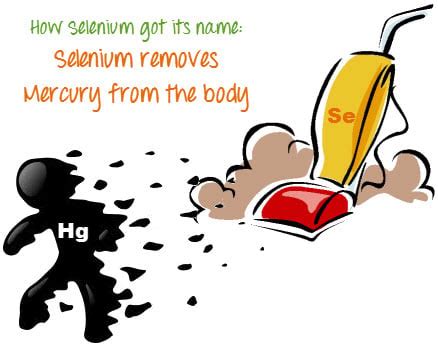 What Is Selenium Introduction Tutorial