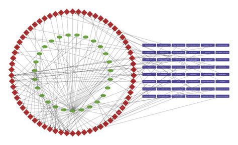 Construction And Analysis Of The Composite Targeting Pathway Ctp