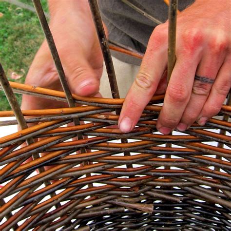Willow Basketry