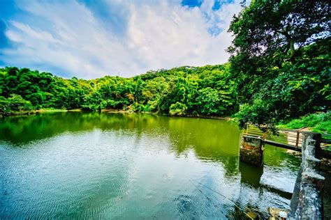森遊竹縣人氣旺 加碼送100隻皮皮獅！ 17news民生好報