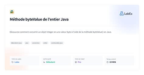 Explorer La Méthode Bytevalue De Lentier Java Labex