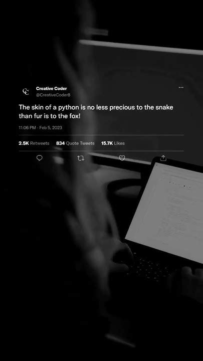 Python Programmers Status Quotes Learning Programmer Coder Youtube