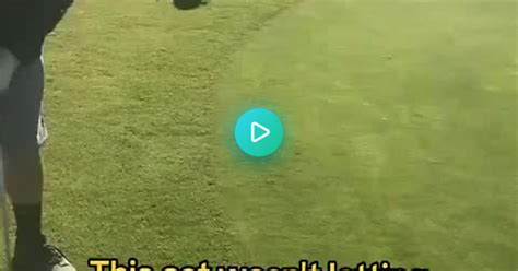 Golf Courses Should Have A Cat On Every Green Album On Imgur