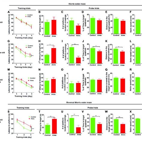Effect Of Intranasal Insulin On Anesthesia Induced Impairment Of
