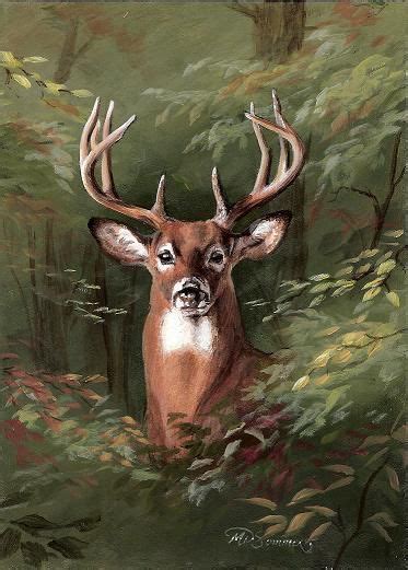 Image From Mypicturesarts20deer202