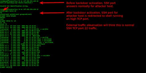bpfdoor an evasive linux backdoor technical analysis