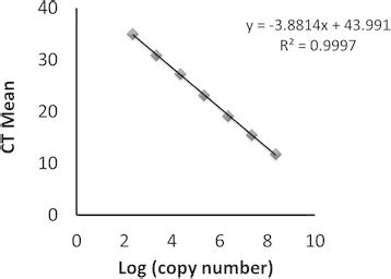 Standard Curve And Equation For The Determination Of The Efficiency Of Download Scientific
