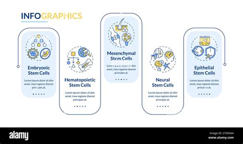 2d Cell Therapy Layout With Creative Line Icons Concept Stock Vector