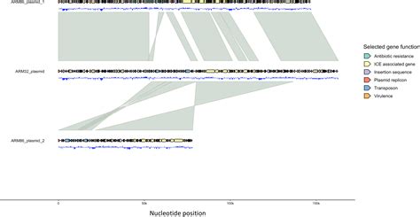 Short And Long Read Sequencing Reveals The Presence And Evolution Of An Incf Plasmid Harboring