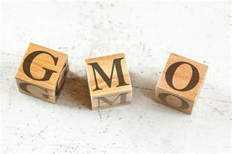 편지 Gmo 3 개의 나무 큐브는 화이트 보드에 유전자 변형 유기 체를 의미 합니다 0명에 대한 스톡 사진 및 기타 이미지