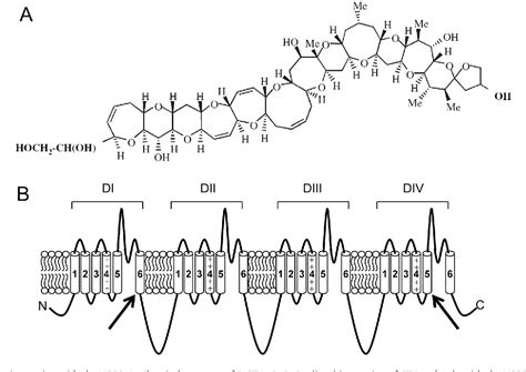 Axonal Swelling Semantic Scholar