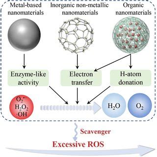 PDF Nanomaterial Based Reactive Oxygen Species Scavengers For Osteoarthritis Therapy