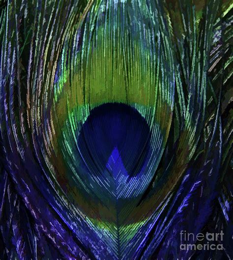 Peacock Feather Art 6 Photograph By D Hackett Fine Art America