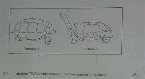 21 Tabulate TWO Visible Between The Two StudyX