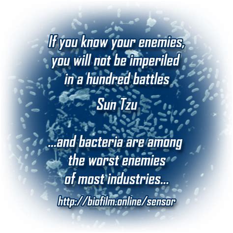 Biofilm The Silent Most Costly Underestimated Natural Phenomena In All