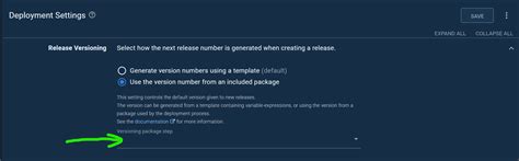 Release Versioning Package Step Not Displayed · Issue 7005