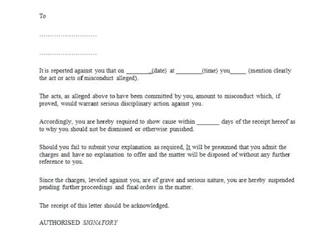 Sample Explanation Letter For Allegations Glabcu