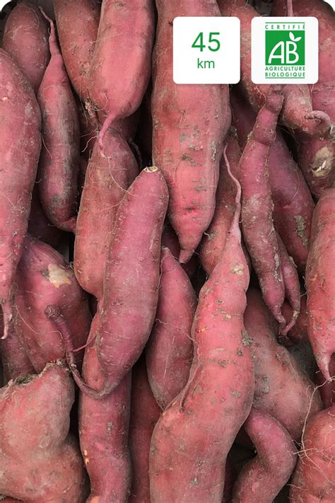 Patate Douce Bio 500 G Loiret Lioca