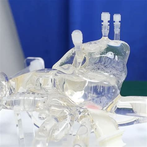 Cardiac Surgery Simulator Simulator Cardiac Cardiac Simulator Supply