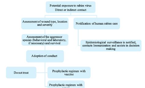Approach To Accidents With Potential Exposure To The Human Rabies