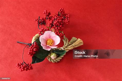 일본 설날 이미지 미즈히키 화환과 레드 베리와 카멜리아 시메카자리에 대한 스톡 사진 및 기타 이미지 시메카자리 0명 겨울
