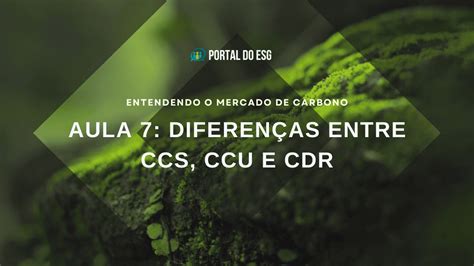Entendendo O Mercado De Carbono Diferenças Entre Ccs Ccu E Cdr Aula 7 Portal Do Esg