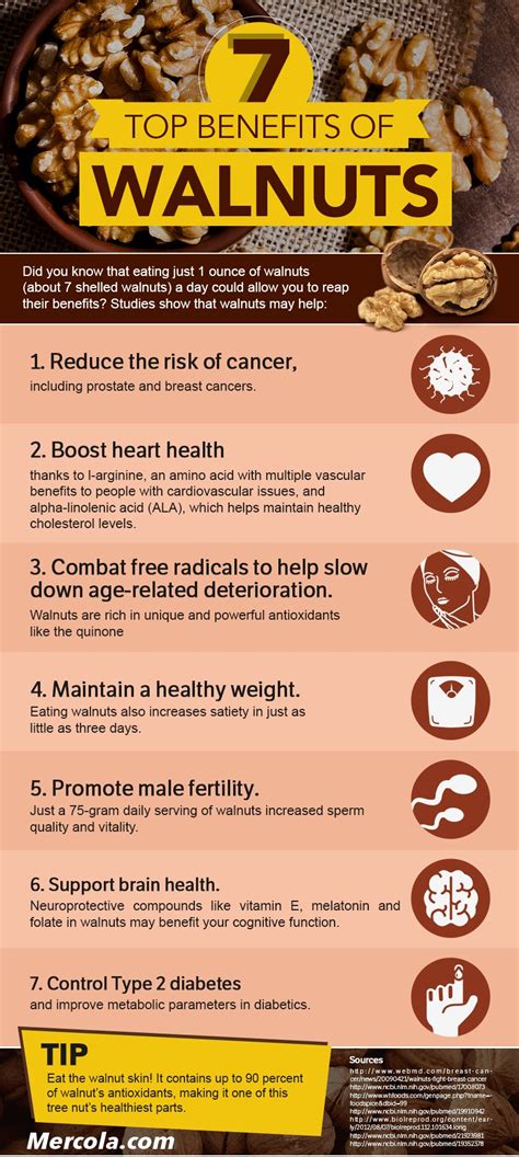 Walnuts Health Benefits Nutrition And Diet