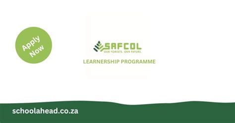 Transnet Train Assistant Trainee Internship 2024 2025 Schoolahead