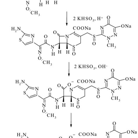 Chemical Transformations Of Ceftriaxone Using Caros Acid Download