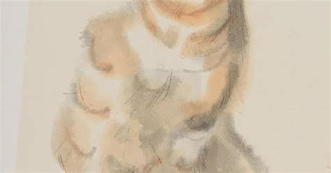 Josi Cat Album On Imgur