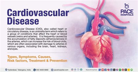 Heart Disease Definition Symptoms Causes Risk Factors