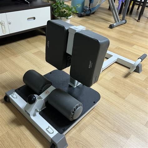 Health/Yoga/Pilates Equipment 헬스,스쿼트,스쿼트머신,실내운동기구,하체운동기구 on Bunjang ...