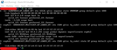 archlinux vm guest in virtualbox with host only adapter not getting