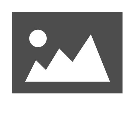 Judy Goldschmidt Agents Platinum Properties