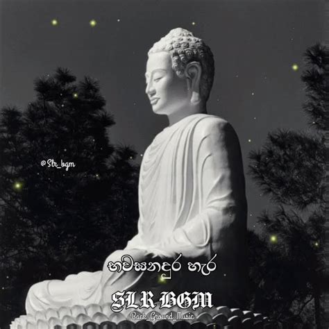 පින්බර වෙසක් මංගල්‍යයක් වේවා 💞 Youtube