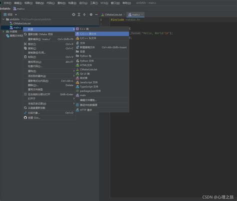 Clion中写算法题目使用clion算法竞赛插件 Csdn博客