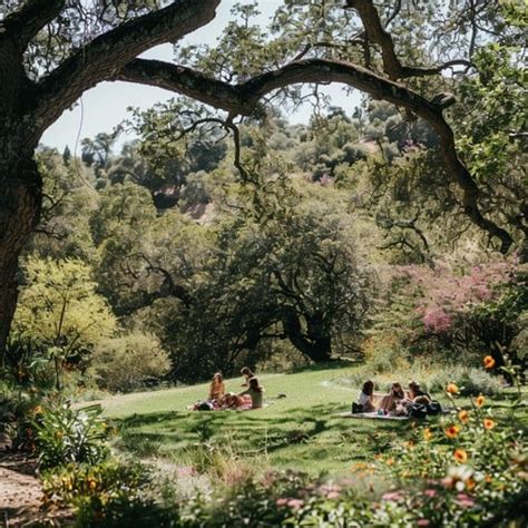 Free Picnic In Park Image Picnic Friends Park Download At Stockcake
