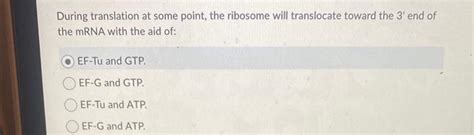 [solved] During Translation At Some Point The Ribosome Wi