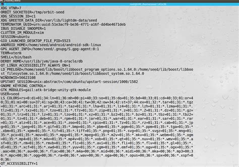 软件安全 Environment Variable And Set Uid Program Lab 2environment Variable And Set Uid Lab Csdn博客
