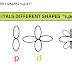 Define Orbit Orbital Shapes Of Orbitals S P D F