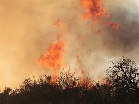 Brush Fire Breaks Out In Sepulveda Basin Northridge Ca Patch