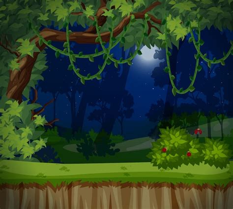 Un Bosque Oscuro En La Noche Vector Premium