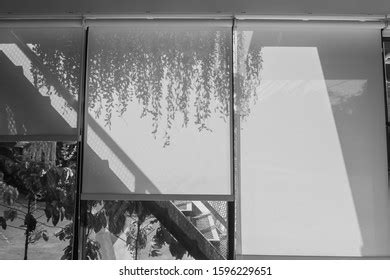 498 Sunscreen Roller Blind Images Stock Photos 3D Objects Vectors
