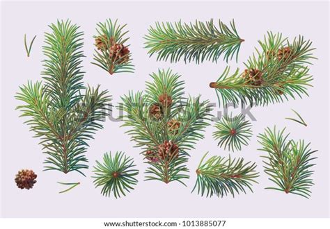 184 Tree Limbs Clipart Stock Vectors Images Vector Art Shutterstock