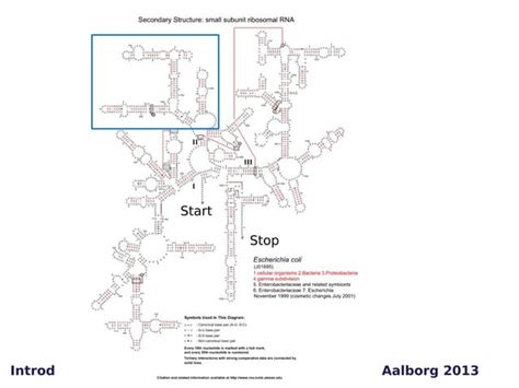 Amplicon Sequencing Introduction Pdf Biological Sciences Science