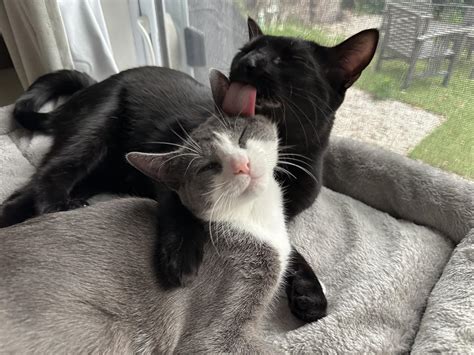 Chad And Stacy Album On Imgur