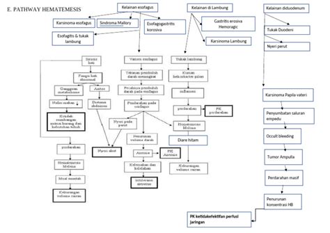 Revisi Pathway Hm1 Pdf